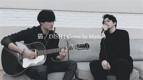 猫 Dish Cover By Maito Youtube