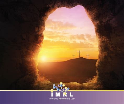 Immuno Reference Lab Home Facebook