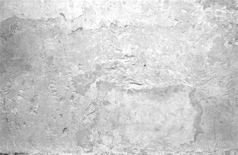 Indoor Universal Green Plant Pot Model Background Landscape Green