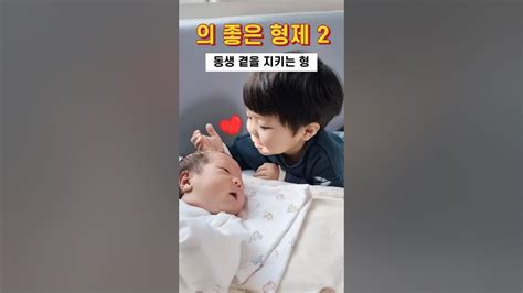 💏의 좋은 형제 2feat 형 눈에서 꿀이 뚝뚝 Youtube