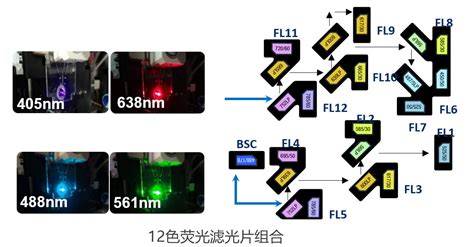 ma900 多功能全自动流式细胞分选仪 上海江文 显微成像 流式细胞仪 外泌体 细胞分析 多组学技术服务商 专业解决方案