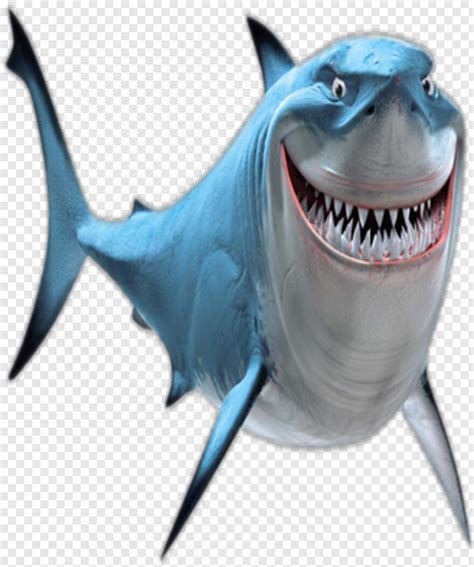 Finding Nemo Characters Free Icon Library