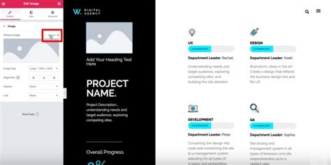 Elementor Dynamic Content User Profile Pictures And Numbers