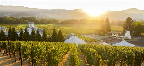 Peju Winery Napa Green