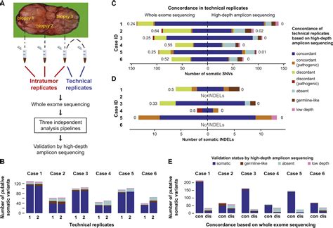 Reliability Of Whole Exome Sequencing For Assessing Intratumor Genetic Heterogeneity Cell Reports