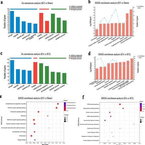 Rna Seq Analysis And Bioinformatics Analysis A Gene Analysis By Go