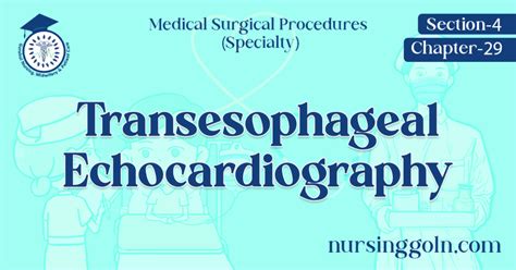 Transesophageal Echocardiography Nursing And Midwifery Gurukul Goln