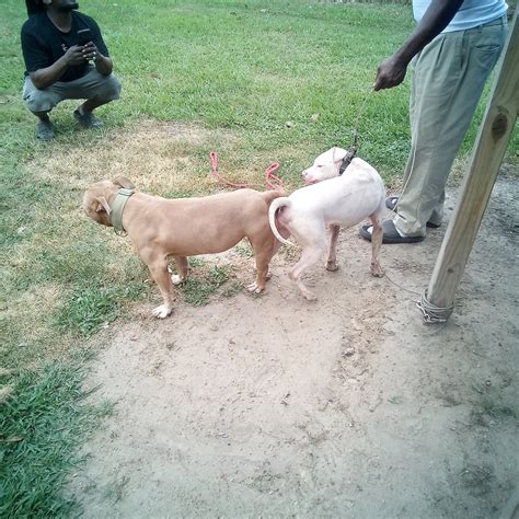 Jay Harrell Harrelljay0 • Instagram Photos And Videos