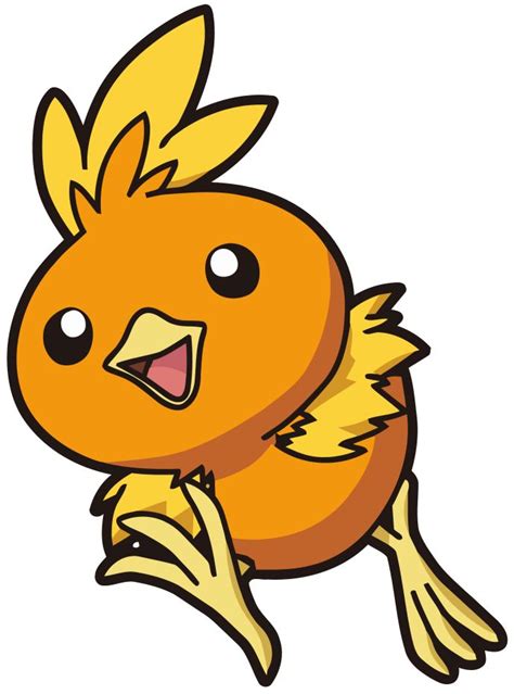 Torchic Pokemon Pokemon Starters Pokemon Art