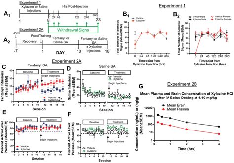 Xylazine Suppresses Fentanyl Consumption During Self Administration And Induces A Unique Sex