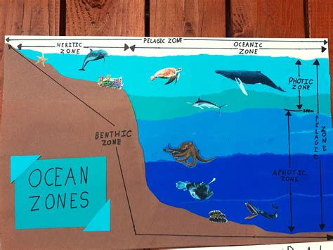 Aquatic Zones Are Called Biomes Artofit