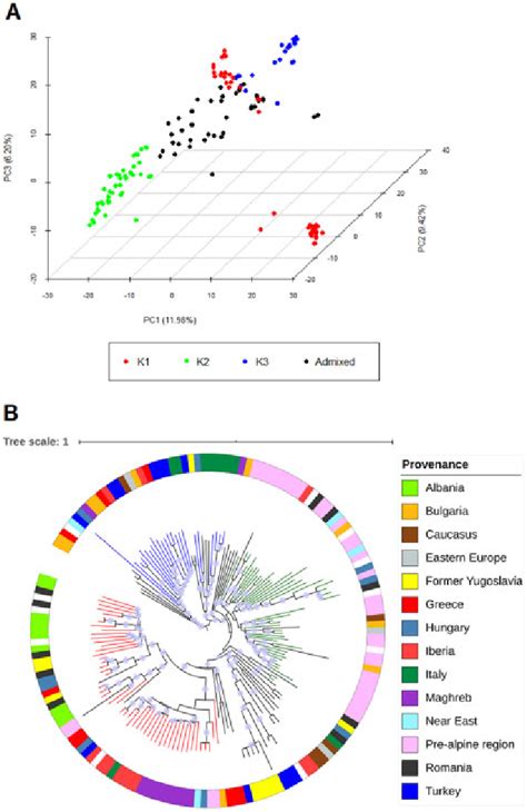 Analysis Of Population Structure A Principal Component Analysis