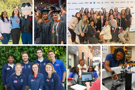 Exploring Excellence Top Universities In Australia For International