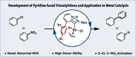Synthesis And Properties Of Pyridine Fused Triazolylidenepalladium