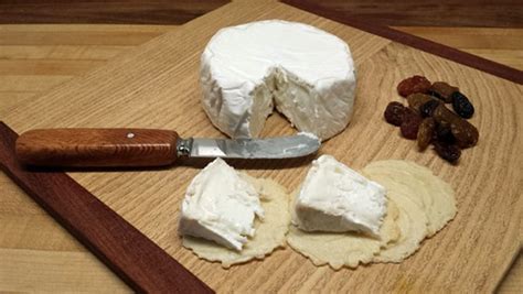 Making Camel Milk Cheese By Becca Heins