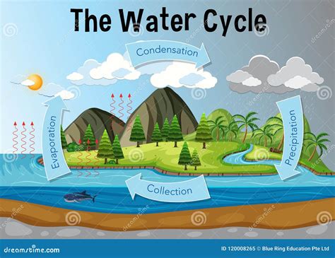 Water Cycle Diagram Drawing