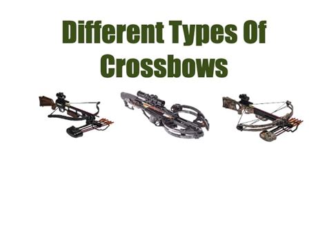 Blog Deer Hunting Guide