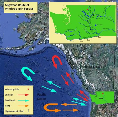 Pacific Salmon Migration Routes