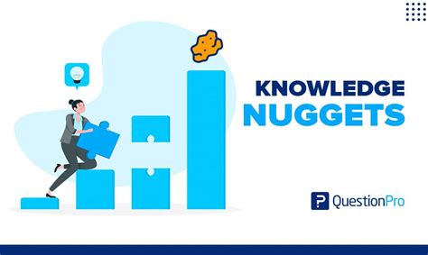 Statistical Analysis Plan What Is It And How To Develop It Questionpro