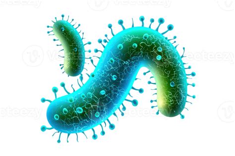 A Colorful Stylized Representation Of A Bacteria With Various Shapes