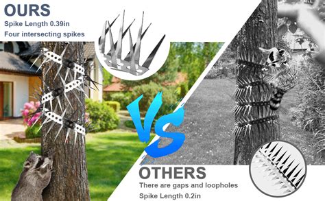 Bird Spikes158inch Stainless Steel Bird Deterrent Spikes