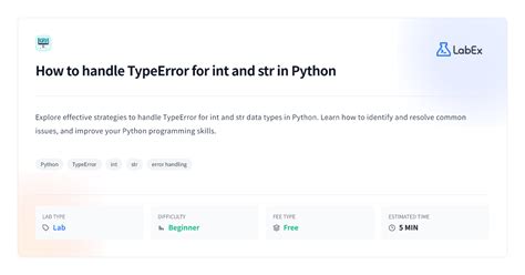 How To Handle Typeerror For Int And Str In Python Labex