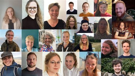 Signe Antonsen Damgaard Posted On Linkedin