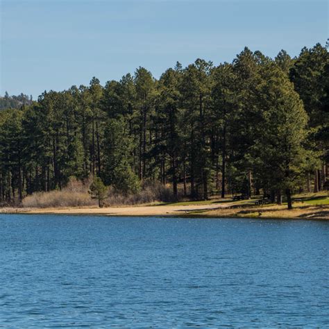 Sheridan Lake South Shore Campground Camping The Dyrt