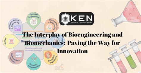 Bioengineering Vs Biomedical Engineering Key Examples Explained