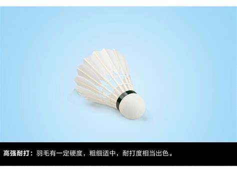 澳加林okalin 羽毛球 Ac 5 精选鸭毛俱乐部比赛训练用球 耐打稳定专业鸭毛球 12只筒 羽毛球 优个网