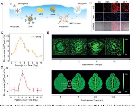 Figure 9 From Semiconducting Polymer Dots For Point Of Care Biosensing