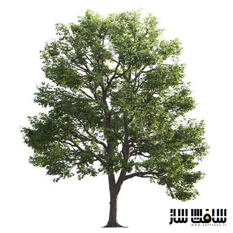 دانلود آرک مدل Archmodels Vol250 سافت ساز