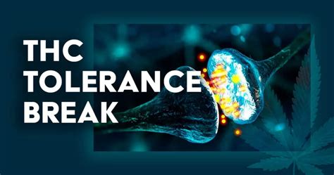 6 Steps To Control Your Thc Tolerance Mint Deals