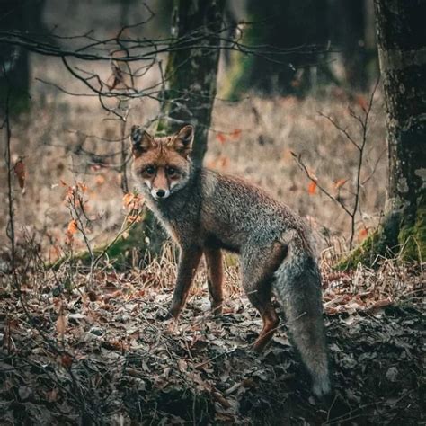 Nikola Tomasic On Linkedin Medjimurskapriroda