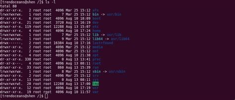 Some Common Options You Can Use With The Ls Command TREND OCEANS