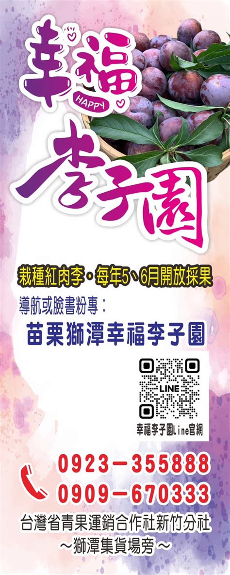 苗栗獅潭幸福李子園