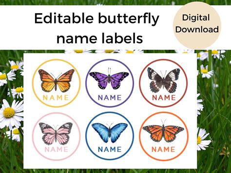 Editable Butterfly Name Labels Classroom Organisation Classroom