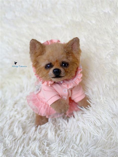 逼真的玩具吉娃娃小狗狗 Natalyapushkarevatoy｜玩偶公仔人氣榜 Pinkoi