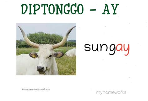 My Homeworks Diptonggo Ay