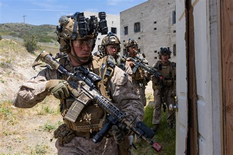 Dvids Images 3rd Bn 1st Marines Conducts Day Night Raids During