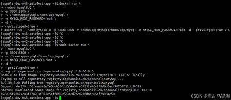 【docker】安装mysql修改端口号并重启，root改密docker修改mysql端口 Csdn博客