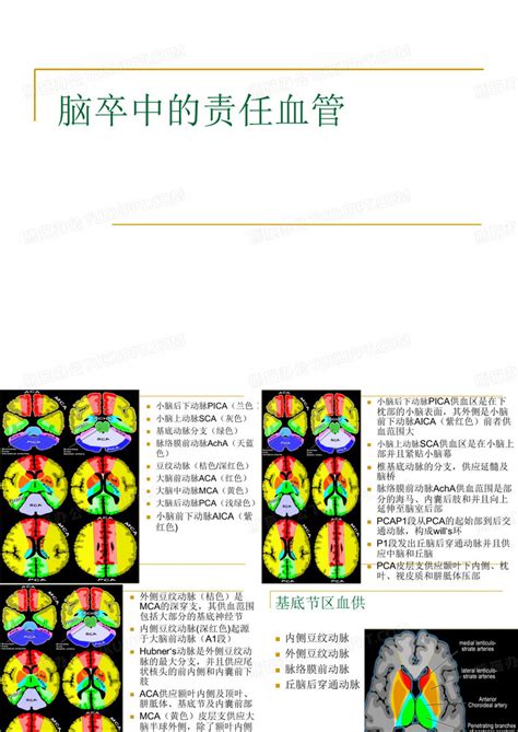 缺血性脑卒中责任血管ppt模板下载编号qmryjyke熊猫办公