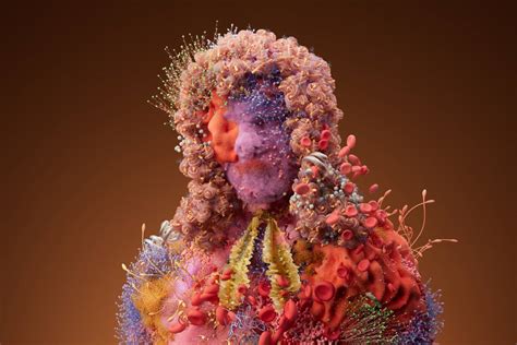 In De Tentoonstelling Onvoorstelbaar Kijk Je Je Ogen Uit