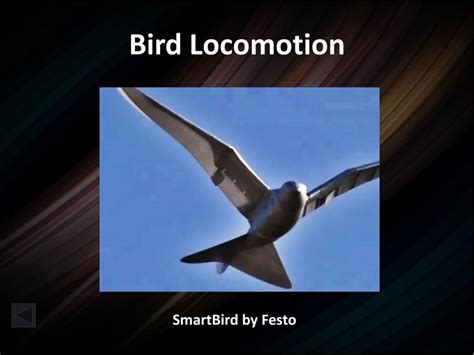 Ppt Robotics Lab 3 Robotic Locomotion Powerpoint Presentation Free
