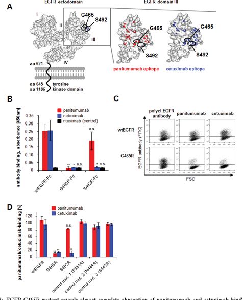 Figure 1 From Epidermal Growth Factor Receptor Mutation Mediates Cross Resistance To Panitumumab