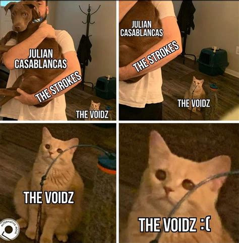 Strokes Meme R Thestrokes