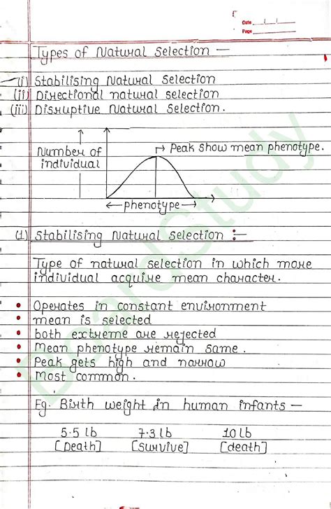 Ncert Class 12 Biology Evolution Notes Handwritten Notes And Pdf