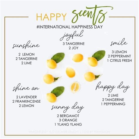 Summer Diffuser Blends Artofit