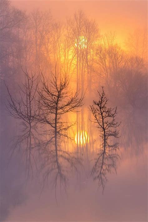 Aurora R Wallpaper 2