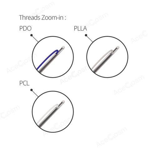 Aestheline Pdo Cannula L 23g 60mm [20ea] Acecosm